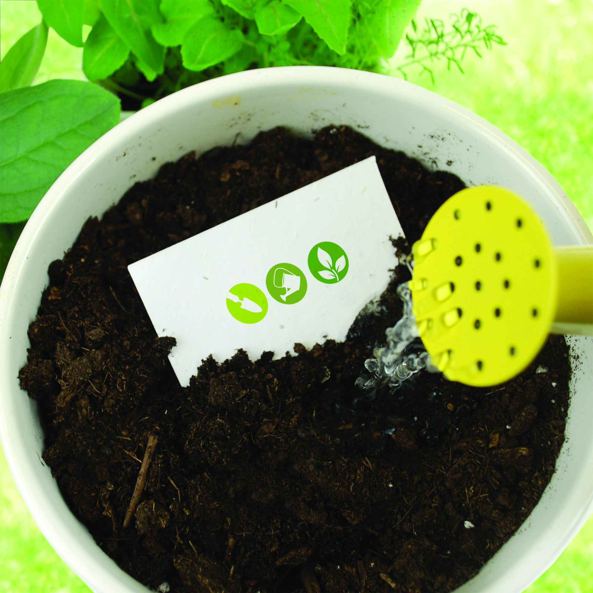 Botanical Paperworks Are Planting The Seeds Of Change - Genumark