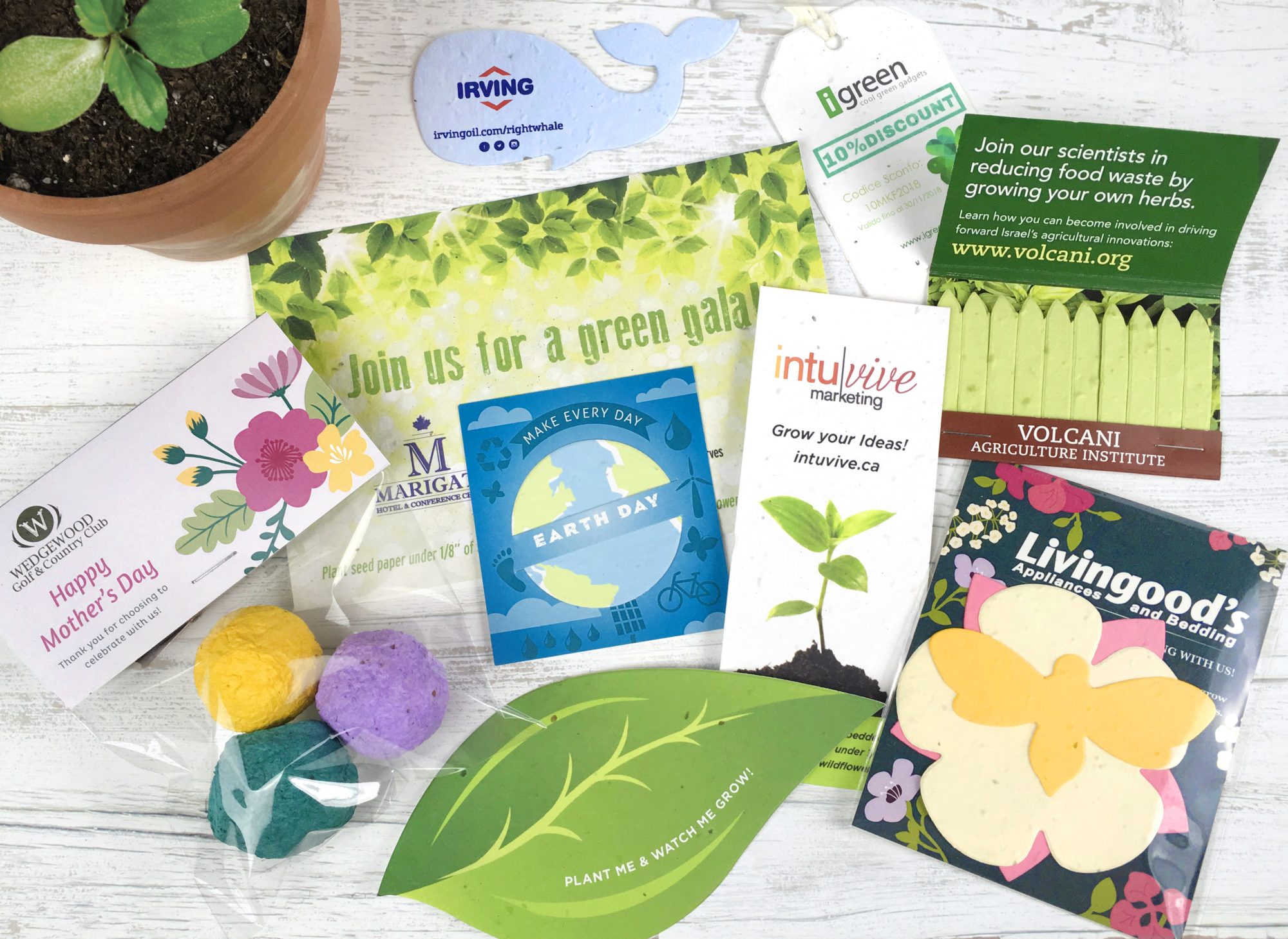 Botanical Paperworks Are Planting The Seeds Of Change - Genumark